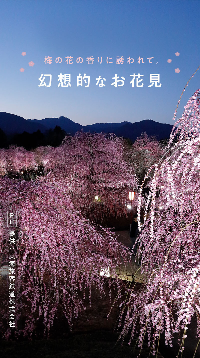 梅の花の香りに誘われて。幻想的なお花見 | icotto（イコット）