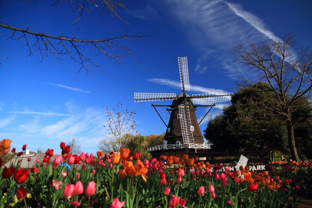 千葉で遊ぶ！心躍る♪アクティブな大人の観光スポット厳選5！ | icotto（イコット）