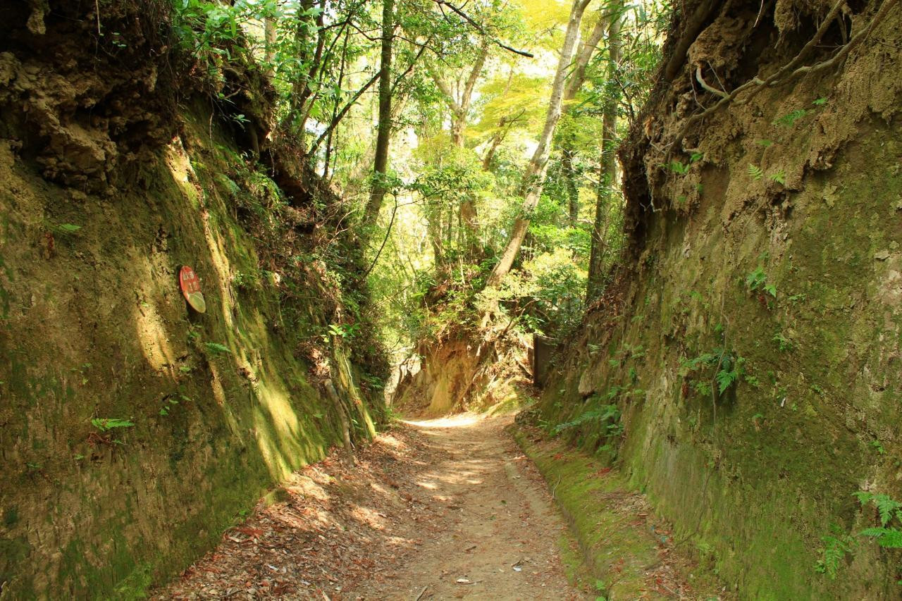 千葉で遊ぶ！心躍る♪アクティブな大人の観光スポット厳選5！ | icotto（イコット）