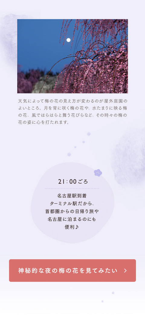 梅の花の香りに誘われて。幻想的なお花見 | icotto（イコット）