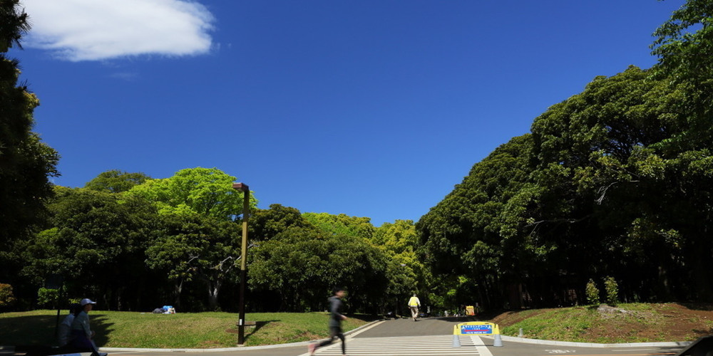 初心者でも走りやすい！東京のおすすめランニングコース10選 | icotto（イコット）