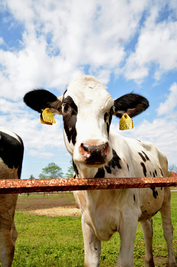 千葉で遊ぶ！心躍る♪アクティブな大人の観光スポット厳選5！ | icotto（イコット）