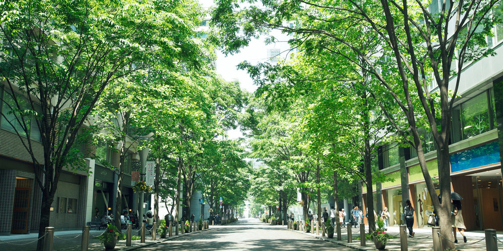 【東京】GWのおでかけに♪感性を磨くのんびり丸の内さんぽ | icotto（イコット）