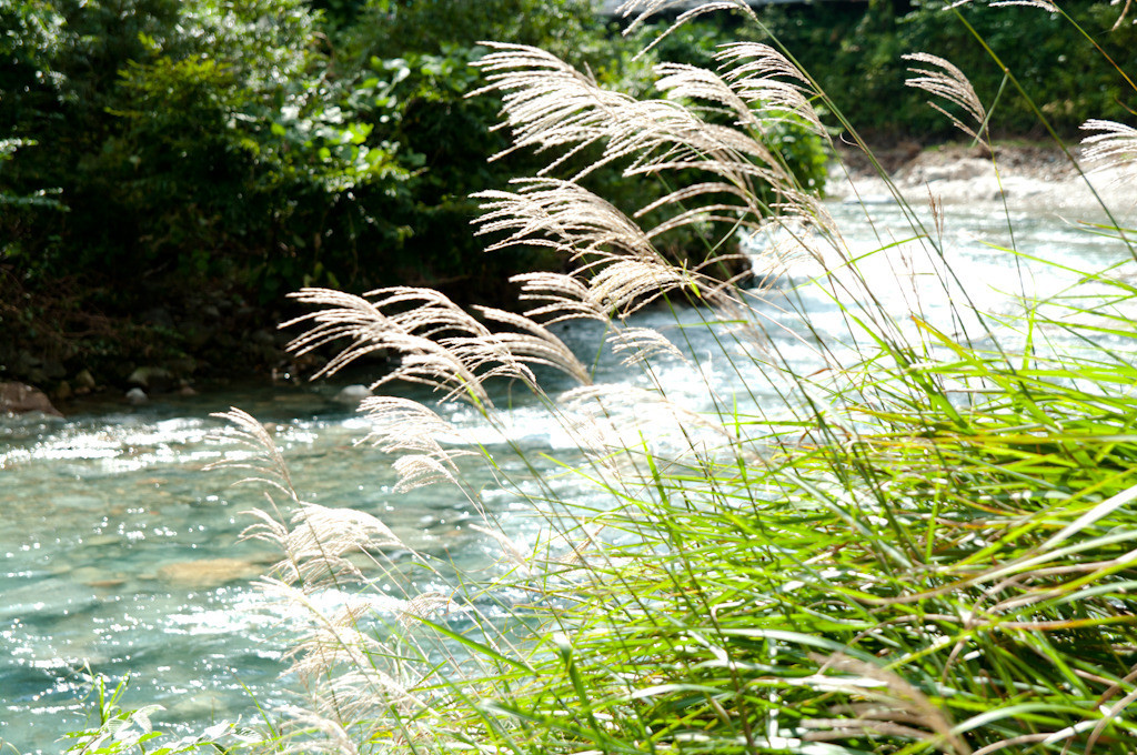 東京駅から直行バスも出てる！群馬県にある四万温泉おすすめ宿6選 | icotto（イコット）