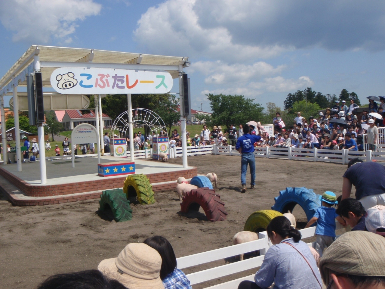 千葉で遊ぶ！心躍る♪アクティブな大人の観光スポット厳選5！ | icotto（イコット）