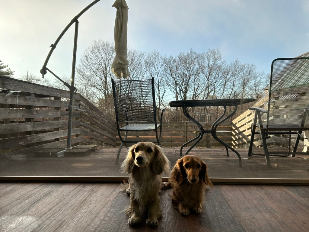 愛犬といっしょに那須旅行へ。ペットと同室宿泊OKのおすすめホテル＆旅館12選／栃木 | icotto（イコット）