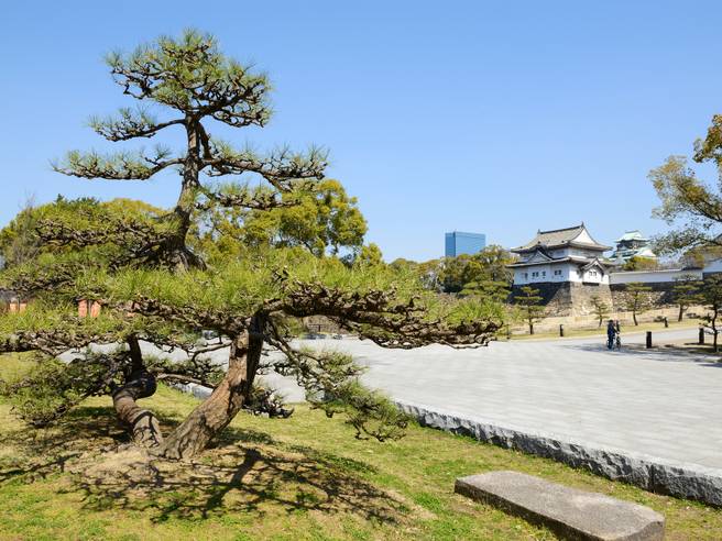 ホテルモントレ ラ・スール大阪 | 天然温泉やサウナでリフレッシュ。大阪観光&ステイを楽しむシティホテル | icotto（イコット）