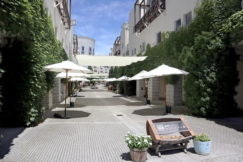 「リゾナーレ八ヶ岳」の楽しみ方 | ピーマン通りやワインを堪能する館内施設ツアー | icotto（イコット）